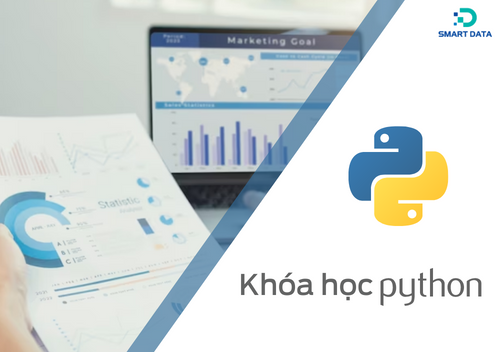 Khóa học Python 4 Data (P4D)